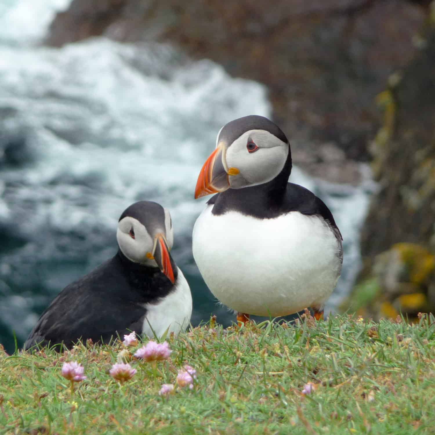 Lerwick - Shetland | SchoonerSail